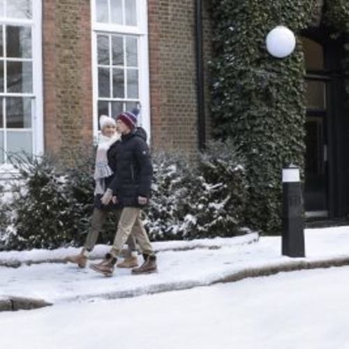 How to have an eco-friendly Christmas | Timberland IE