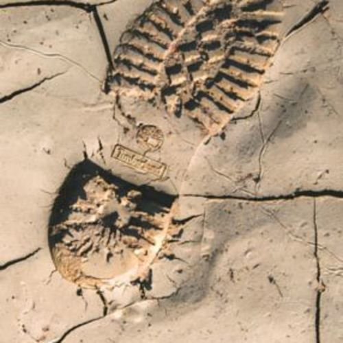 Timberland’s sustainability goals for 2020 | Timberland CH