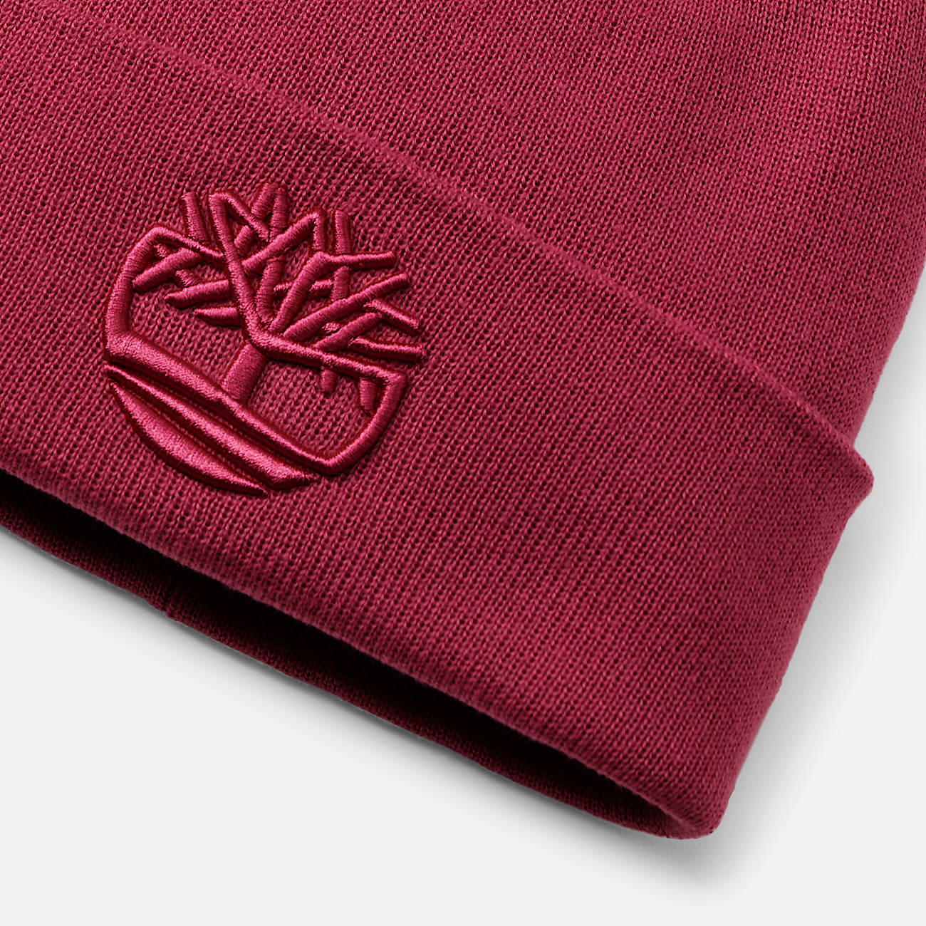 Tonal Embroidery Beanie for Men in Red