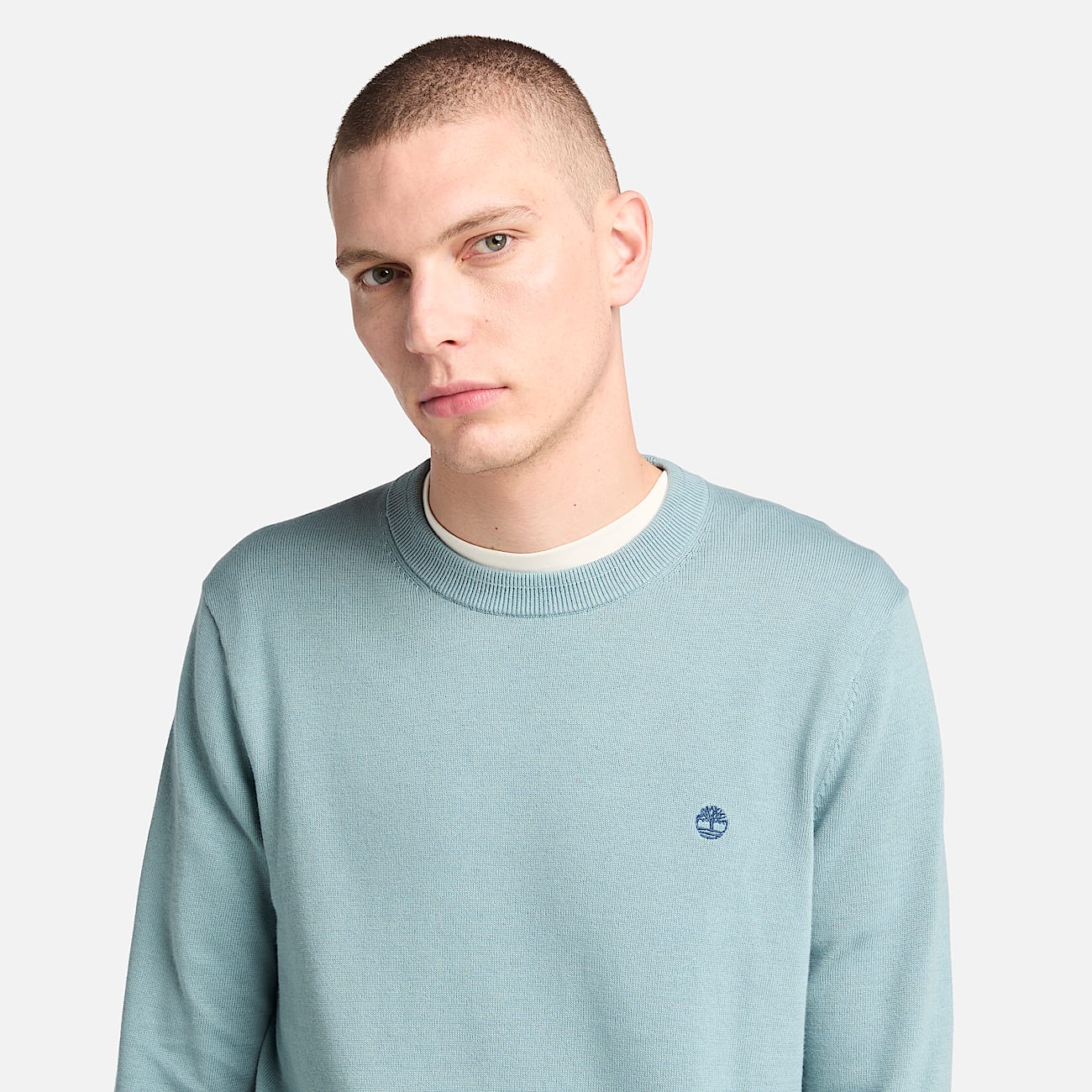 Williams River Cotton Yarn Dyed Jumper for Men in Light Blue